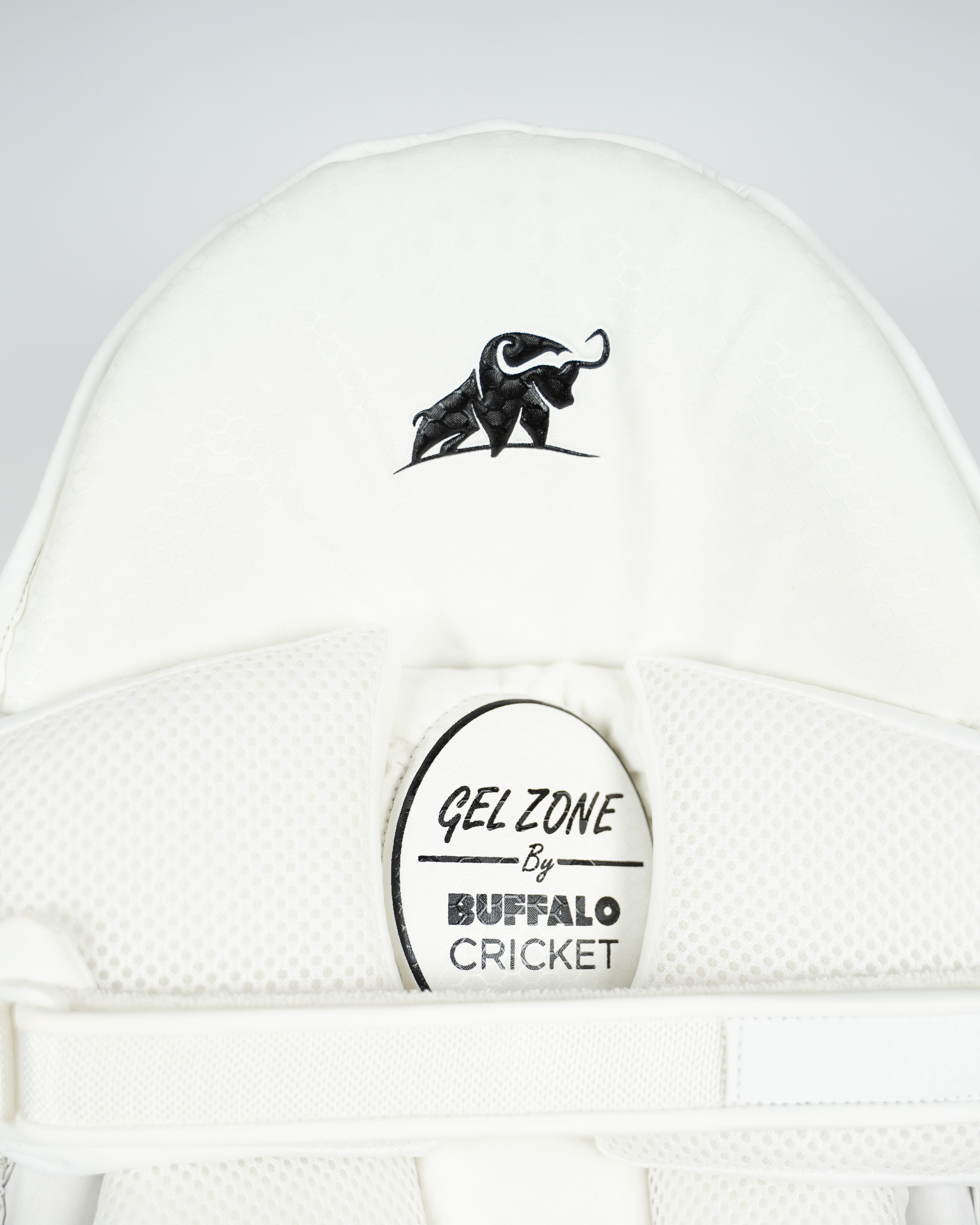 2025 Buffalo softs – Buffalo Cricket