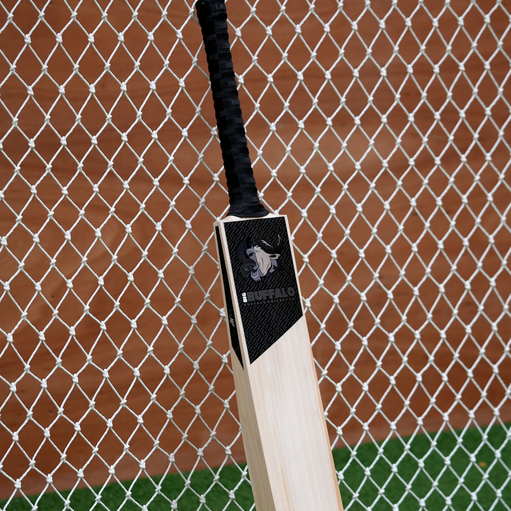 The Big Buffalo | 2024 – Buffalo Cricket