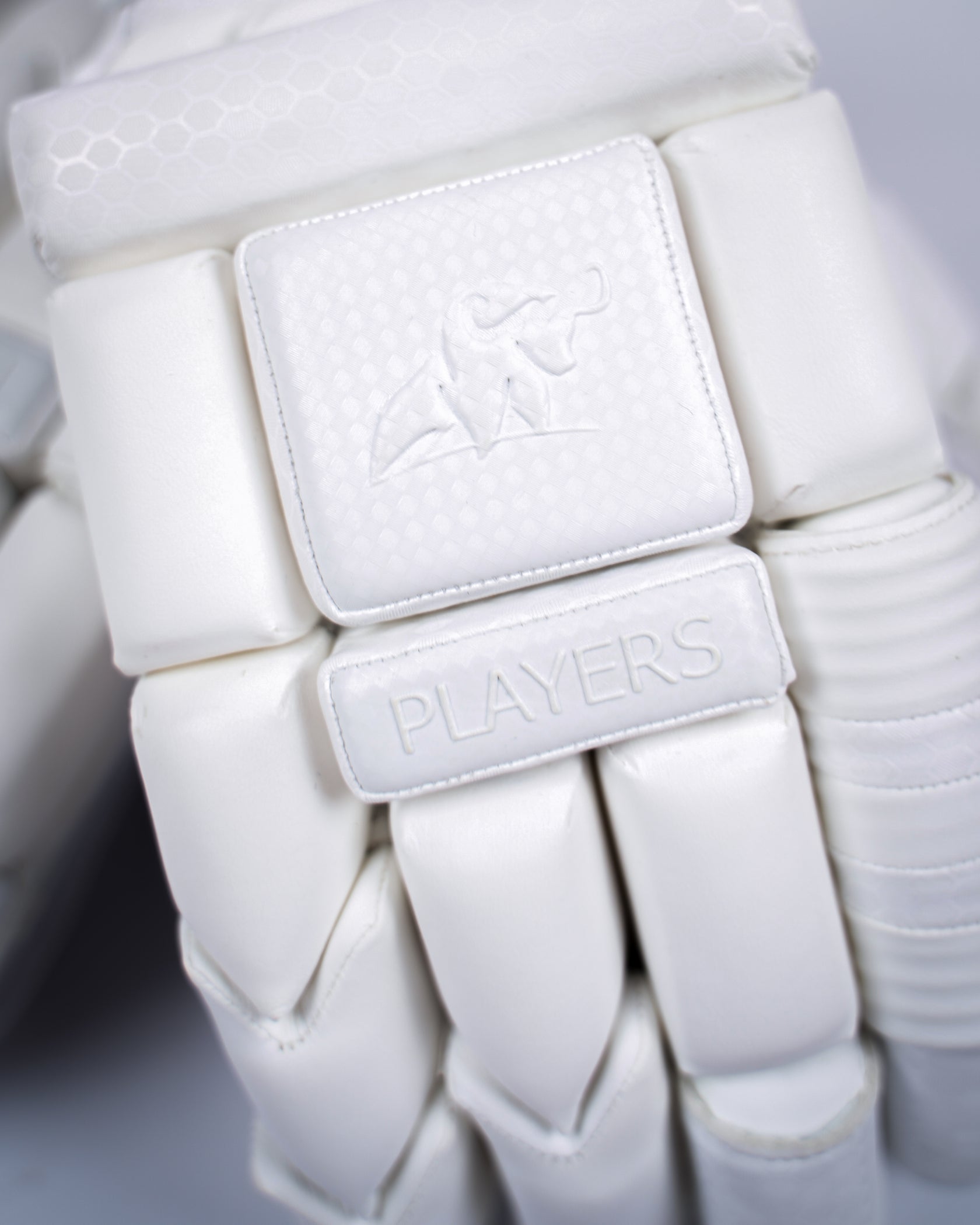 2025 Batting gloves | Players – Buffalo Cricket