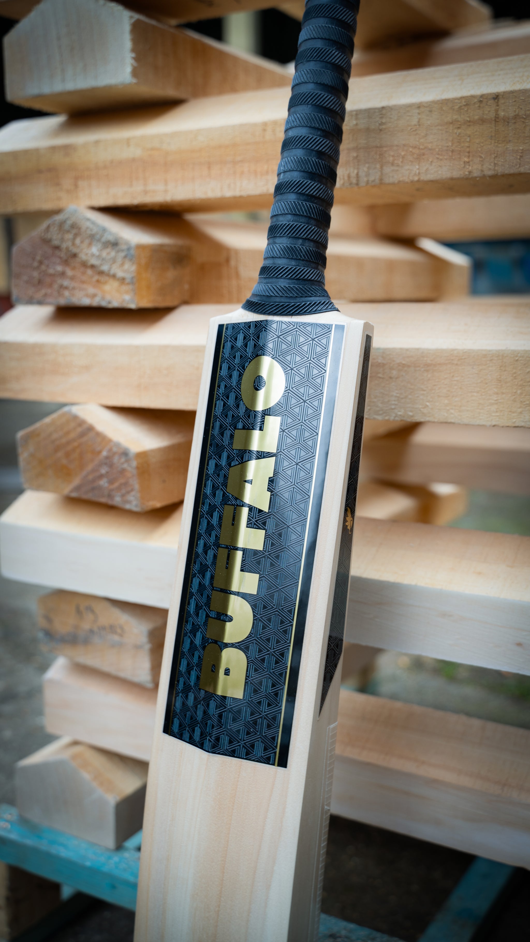 The Bubalina | 2024 – Buffalo Cricket