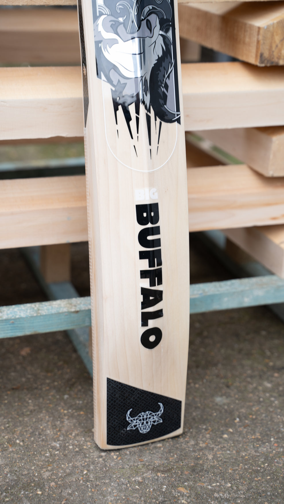 The Big Buffalo | 2024 – Buffalo Cricket