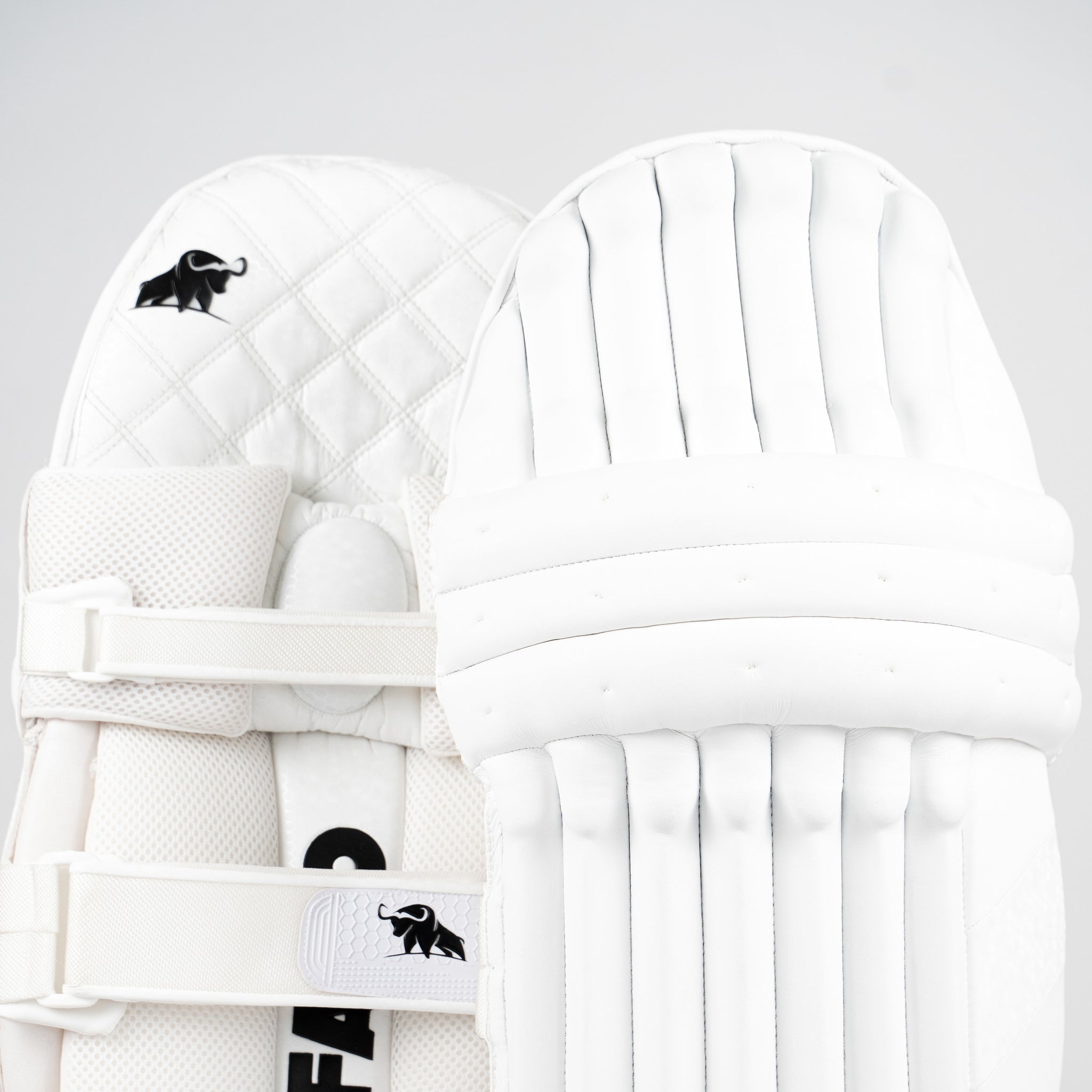 Buffalo batting pads | Reserve – Buffalo Cricket