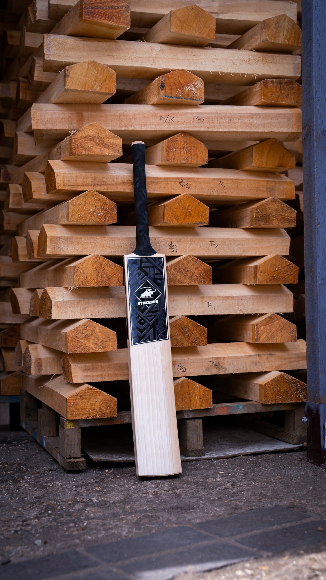 The Syncerus | 2025 – Buffalo Cricket