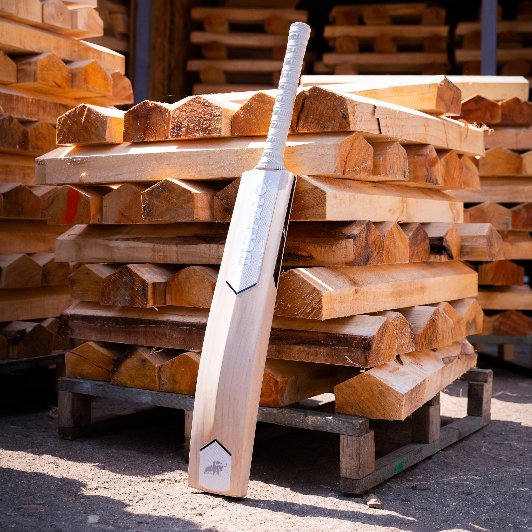 The BC4 | 2025 – Buffalo Cricket