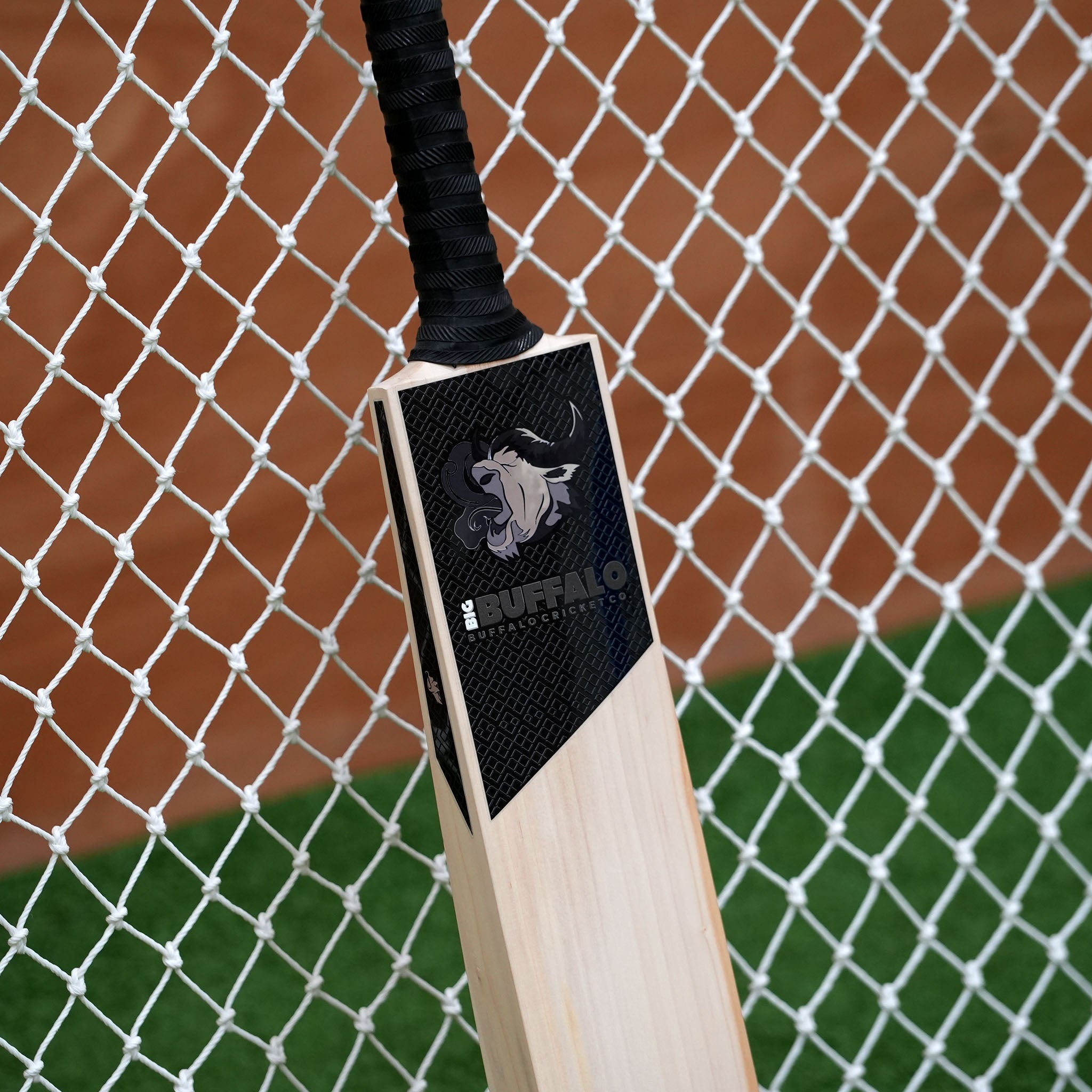 The Big Buffalo | 2024 – Buffalo Cricket