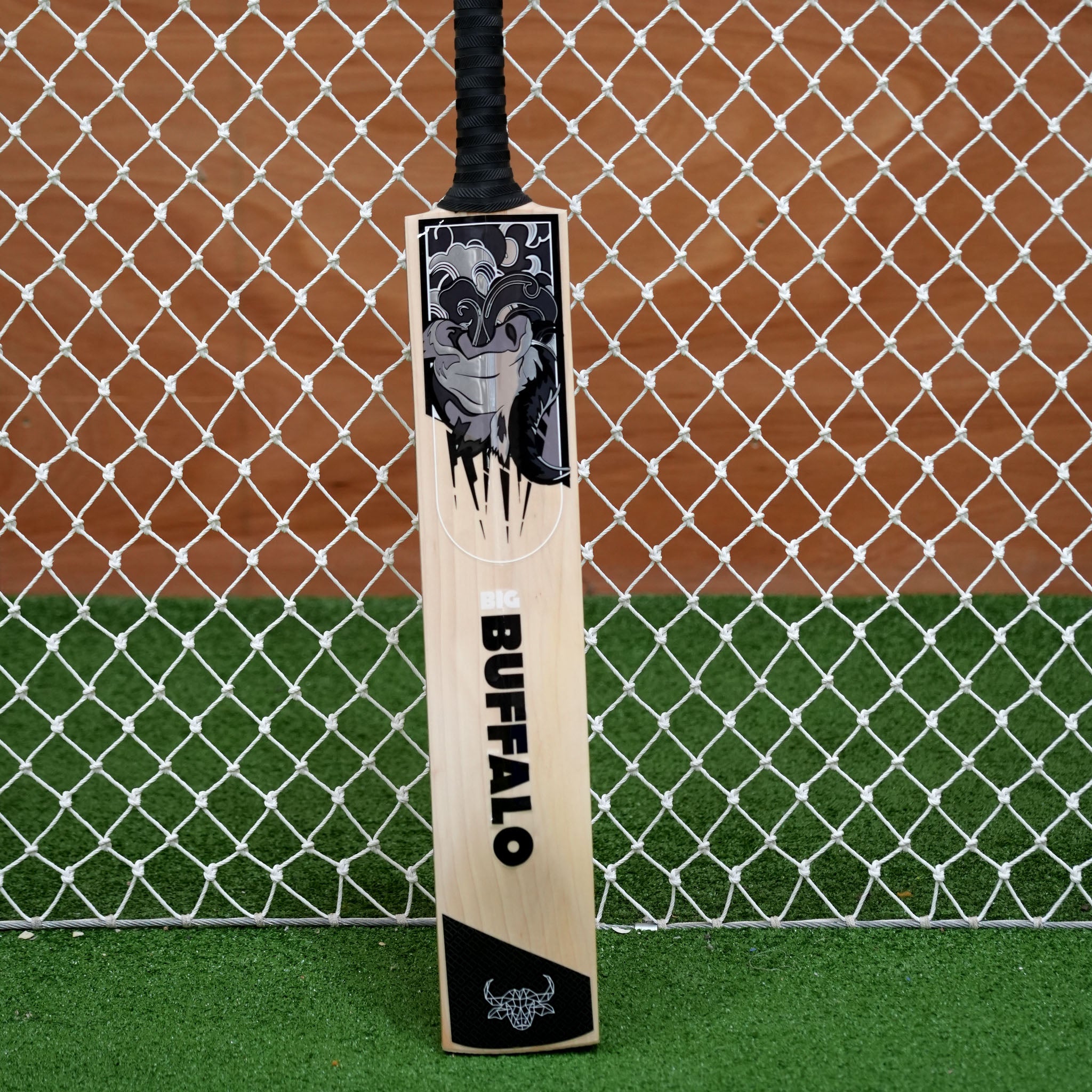 The Big Buffalo | 2024 – Buffalo Cricket