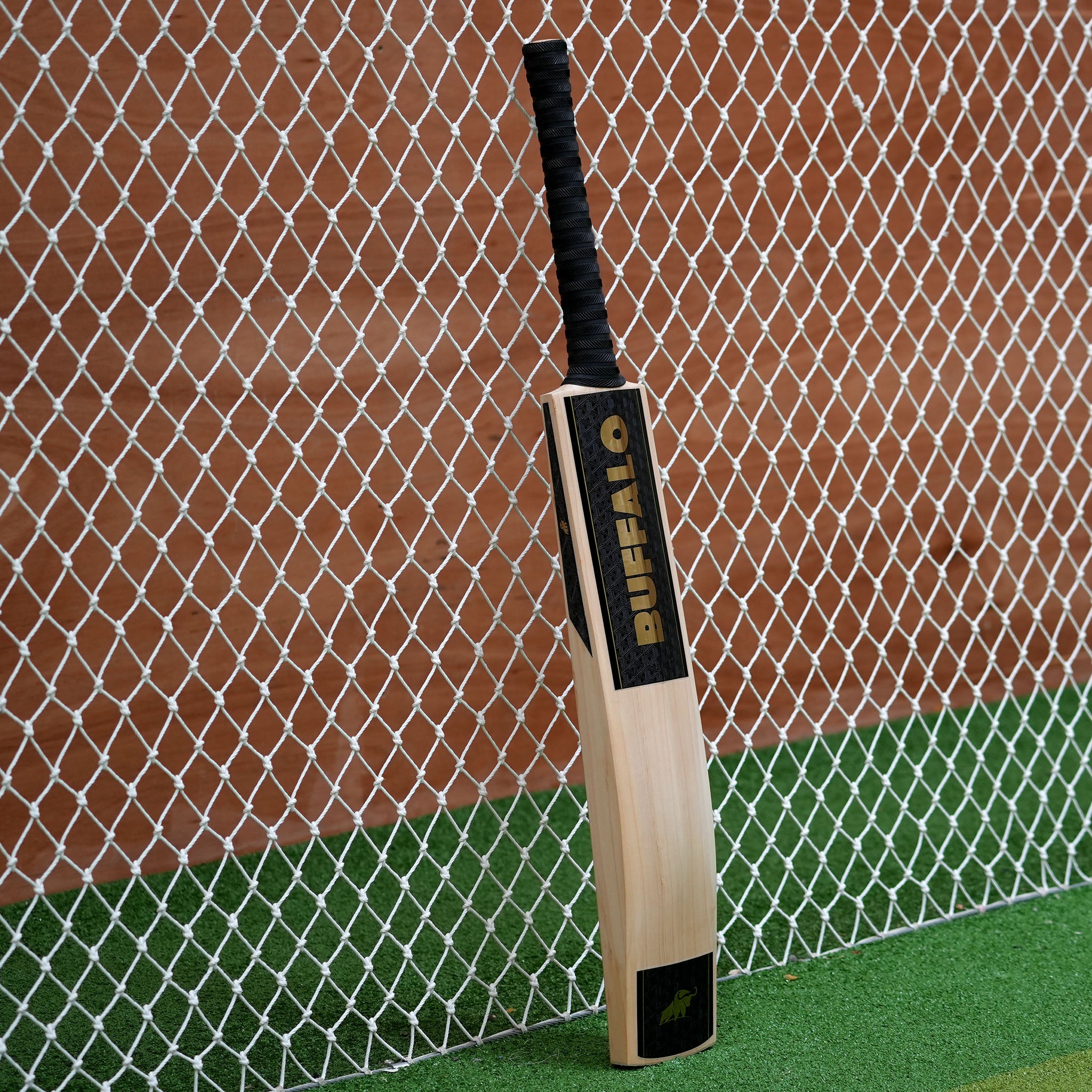 The Bubalina | 2024 – Buffalo Cricket